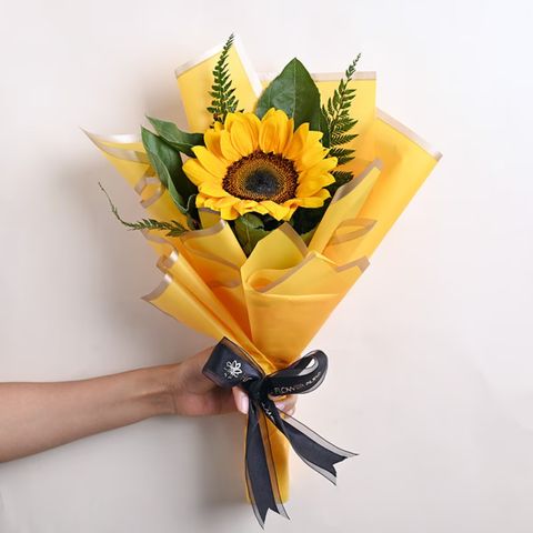 Floweraura Fresh Romantic Fresh Live Radiating Sunshine Sunflower ...