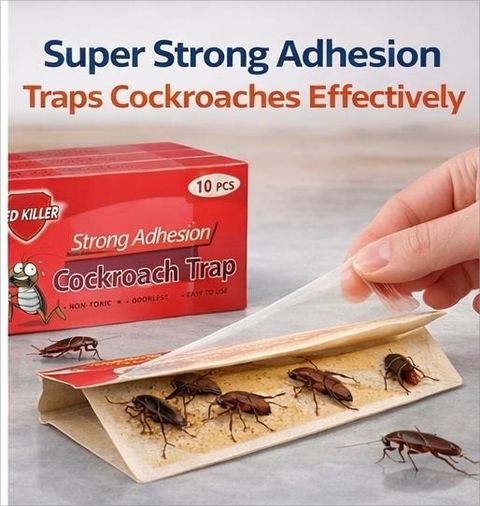 Altezza Cockroach Glue Trap High Adhesive Pest Control Easy Use Indoor ...