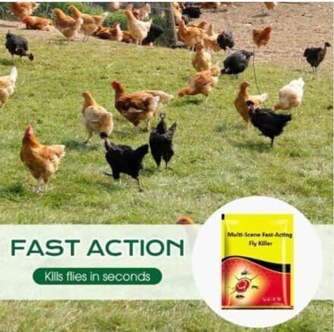 FLIXY Fast-Acting Fly Killer Powder for Household Insect & Mosquito ...