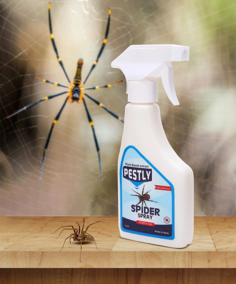 spider web deterrent solution