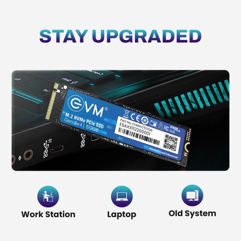 EVM EVMNV 512 GB All in One PC's, Desktop, Laptop Black PCIe NVMe ...