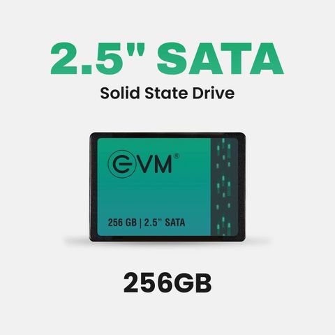 EVM EVM25 256 GB All in One PC's, Desktop, Laptop Black SATA Internal ...