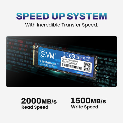 EVM EVMNV 256 GB All in One PC's, Desktop, Laptop Black PCIe NVMe ...