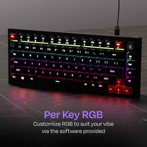 Kreo Hive RGB Gaming Mechanical Keyboard, RGB Keyboards, Braided Cable ...