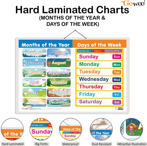 GO WOO Pack of 2 Life Cycle and MONTHS OF THE YEAR AND DAYS OF THE WEEK ...