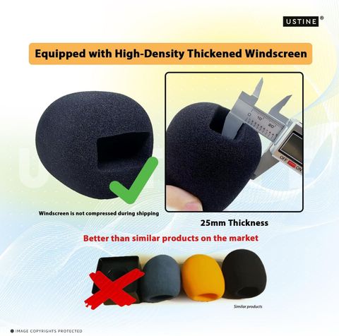 Viraan Microphone Stick with Wireless Mic for Singing and Events ...