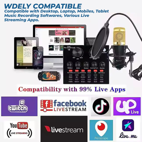 WRADER YouTube Video Recording Condenser Microphone Set Studio Mic with ...
