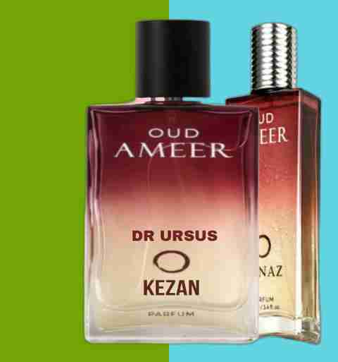 Buy DR URSUS Oud Ameer Luxury Perfume for Men & Women Amber Oud pq77 ...