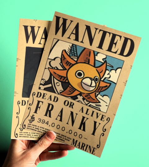 One piece wanted posters set - One piece merch - one piece bounty ...