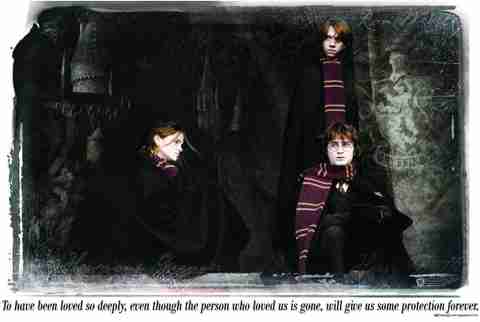 Harry Potter Love Motivational Inspirational Quote Wall Poster A3 Size ...