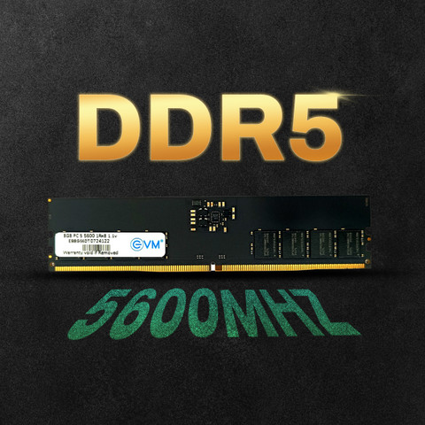 EVM 288-Pin Long DIMM DDR5 8 GB (Dual Channel) PC (8GB 5600 MHz High ...