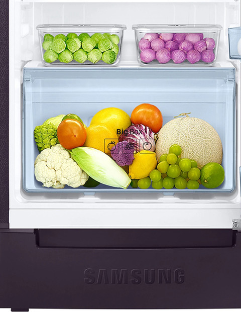 Samsung 236 L Frost Free Double Door 2 Star Refrigerator with Base ...