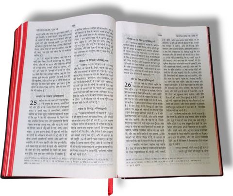 Holy Hindi Bible | Pavitra Bible: Buy Holy Hindi Bible | Pavitra Bible ...
