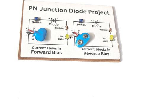 ERHIndia PN Junction Diode Diagram and Working Model for Class 12 ...