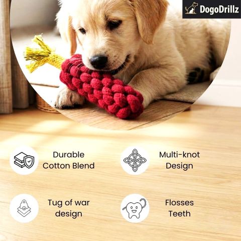 DogoDrillz Dog & Cat Chew Toys Combo Pack of 5, Cotton Chew Toy, Ball ...