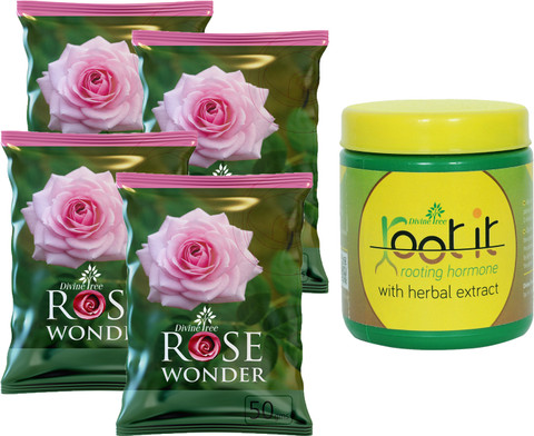rose root powder
