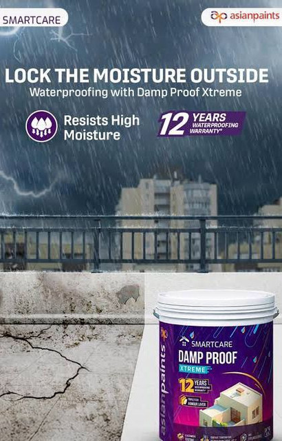 Asian Paints Damp proof 20L White Emulsion Wall Paint Price in India ...