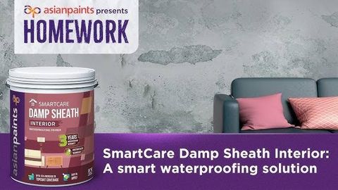 Asian Paints Damp proof Sheath Interior 20L White Emulsion Wall Paint ...