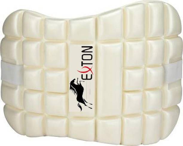 Buy Cricket Guards Online at Best Prices in India | Cricket Accessories