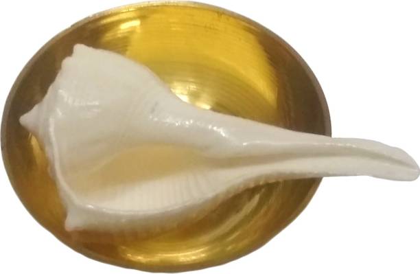 Authentic Shankh & Conch Shells - Pooja Items from ₹199