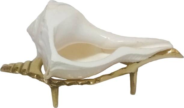 Authentic Shankh & Conch Shells - Pooja Items from ₹199