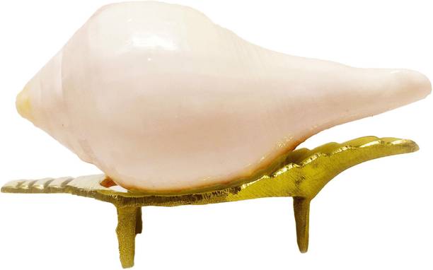 Authentic Shankh & Conch Shells - Pooja Items