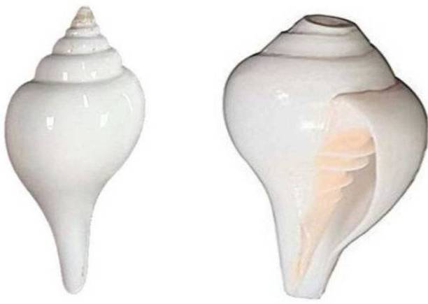 Shankh Online at Best Prices In India | Flipkart | 19-Jun-24