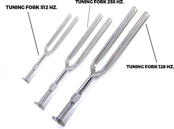 Tuning Forks - Buy Tuning Forks Online at Best Prices In India ...