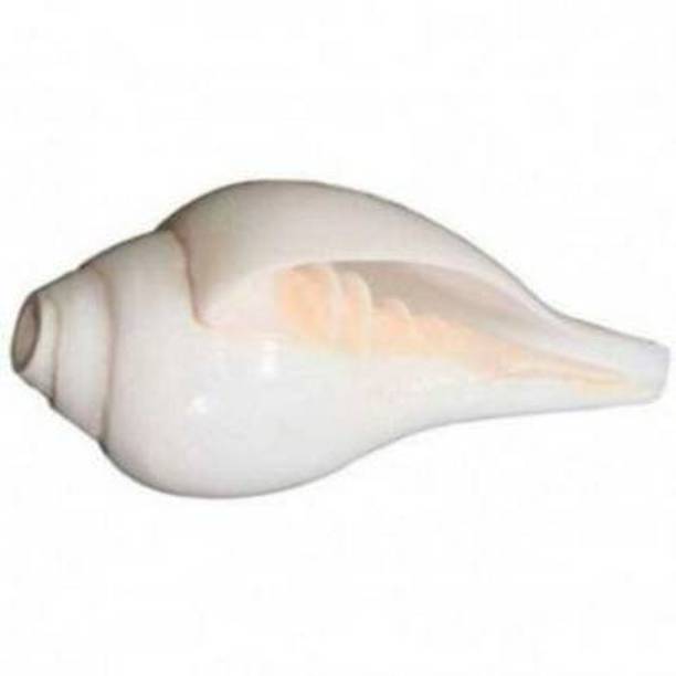 Shankh - Buy Shankh Online at Best Prices In India | Flipkart.com