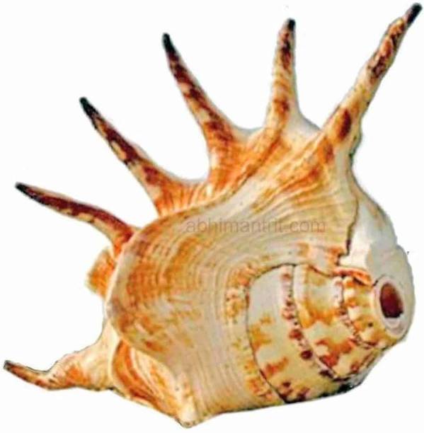 Shankh Online at Best Prices In India | Flipkart | 15-Jan-24