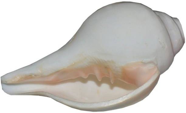 Shankh Online at Best Prices In India | Flipkart | 12-Jul-24