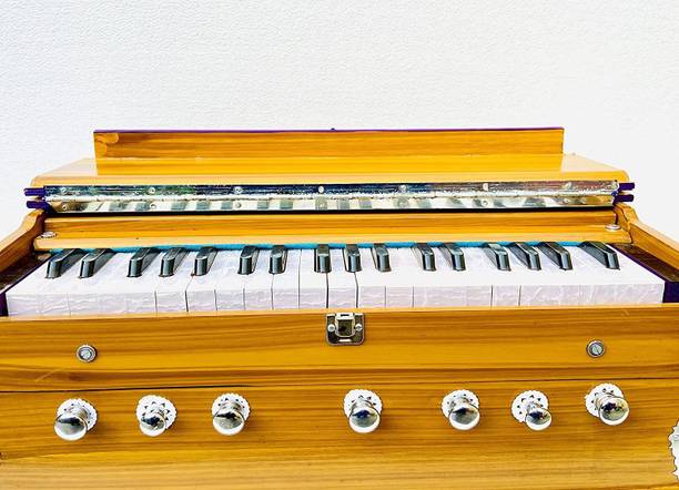 Harmonium (हारमोनियम): Buy Harmonium Online in India | Flipkart.com
