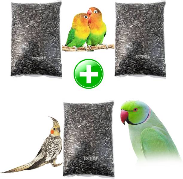 Birds - Buy Birds Online at Best Prices In India | Flipkart.com