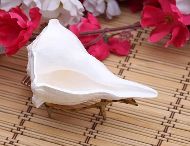 Shankh Online at Best Prices In India | Flipkart | 09-Sep-25