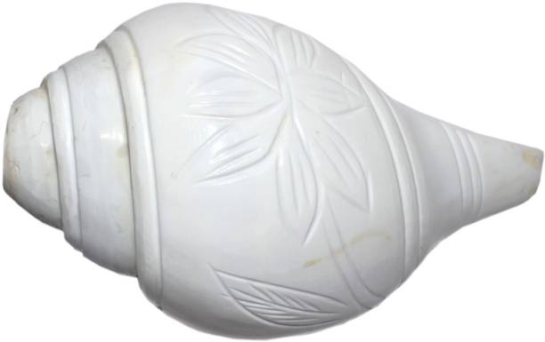 Authentic Shankh & Conch Shells - Pooja Items