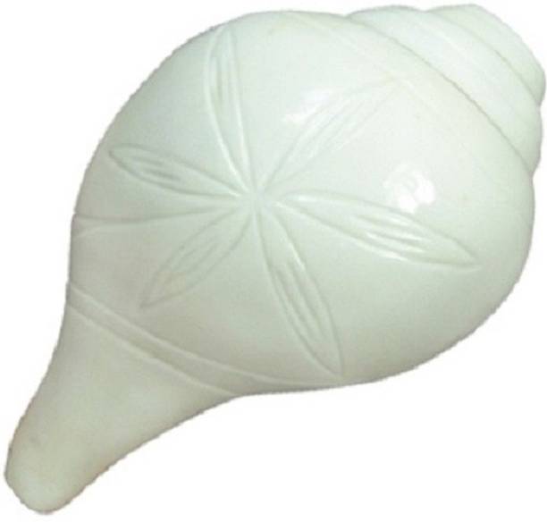 Authentic Shankh & Conch Shells - Pooja Items