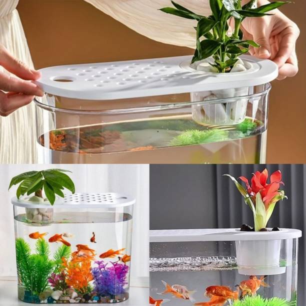 Fish Tank - Buy Fish Tank online at Best Prices in India | Flipkart.com