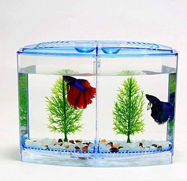 Fish Tank - Buy Fish Tank online at Best Prices in India | Flipkart.com