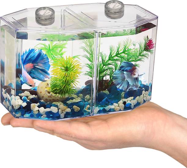Fish Tank - Buy Fish Tank online at Best Prices in India | Flipkart.com