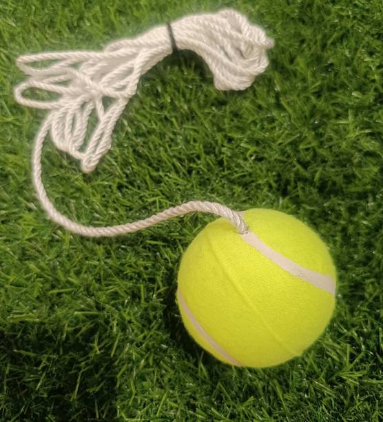 Buy Cricket Training Ball Online at Best Prices | Cricket Kits