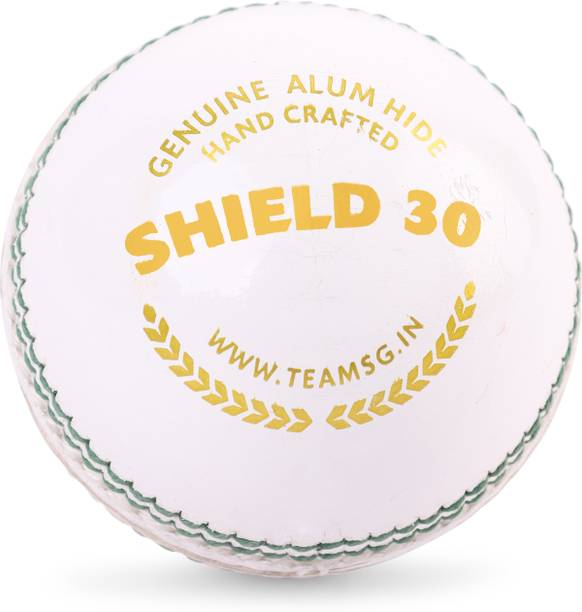 Sg Cricket Kits - Buy Sg Cricket Kits Online at Best Prices In India ...