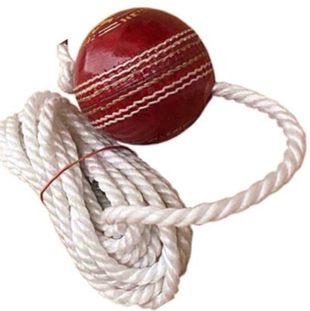 Buy Cricket Training Ball Online at Best Prices | Cricket Kits