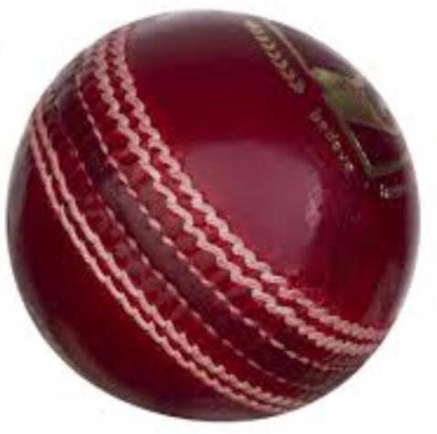 Cricket Balls - Buy Cricket Balls Online at Best Prices In India ...