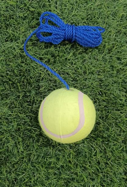 Buy Cricket Training Ball Online at Best Prices | Cricket Kits