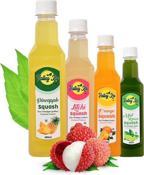 Fruit Squash - Buy Fruit Squash Online at Best Prices In India ...