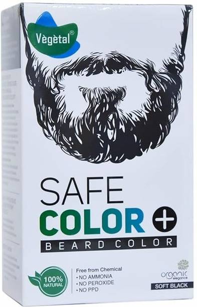 Vegetal Hair Color - Buy Vegetal Hair Color Online at Best Prices In ...