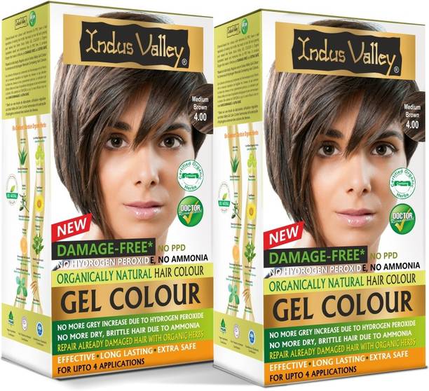 Indus Valley Hair Colors - Buy Indus Valley Hair Colors Online at Best ...