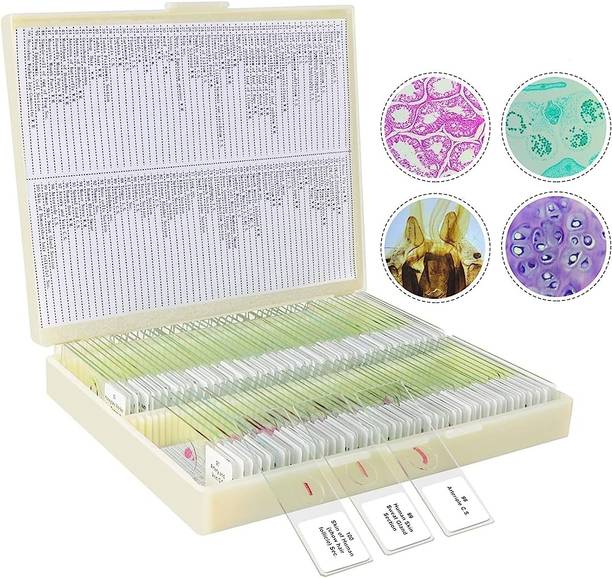 Microscope Slide Box - Buy Microscope Slide Box Online at Best Prices ...