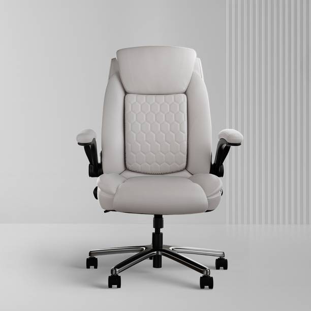 Frido Office Study Chairs | Buy Frido Office Study Chairs Online at ...