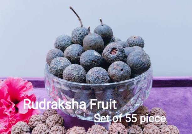 Rudraksha - Buy Rudraksha online at Best Prices in India | Flipkart.com